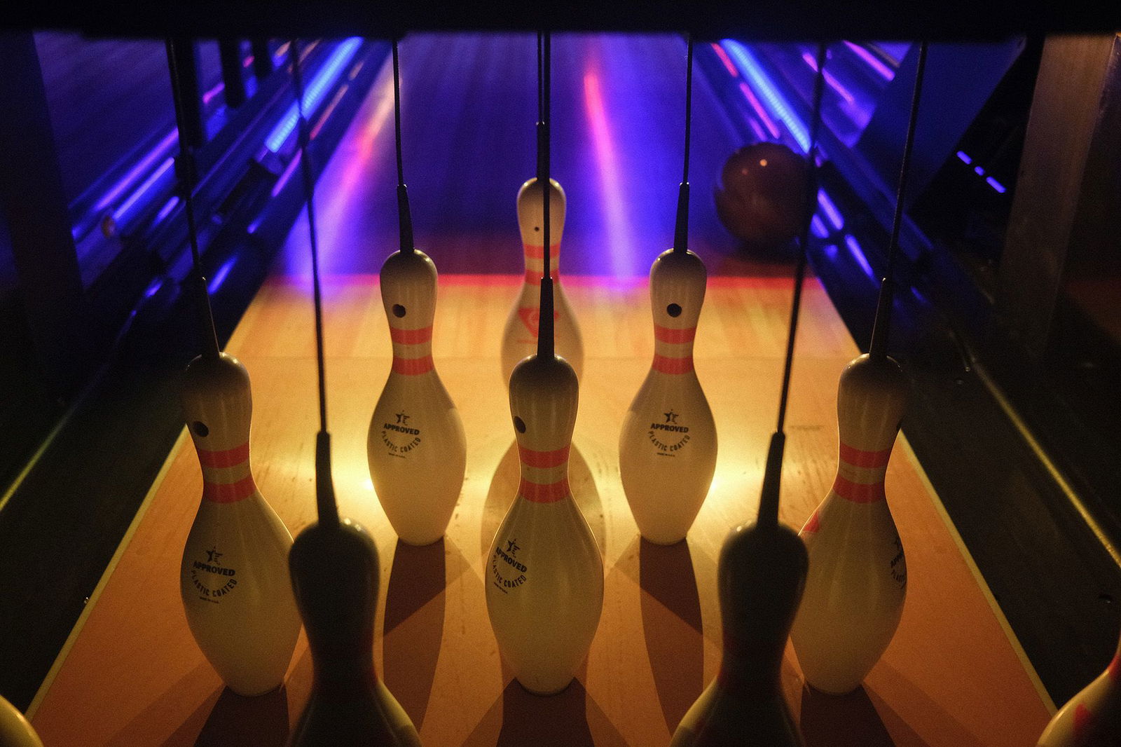 Cinema Social | Corbin, Ky - Page > Bowl