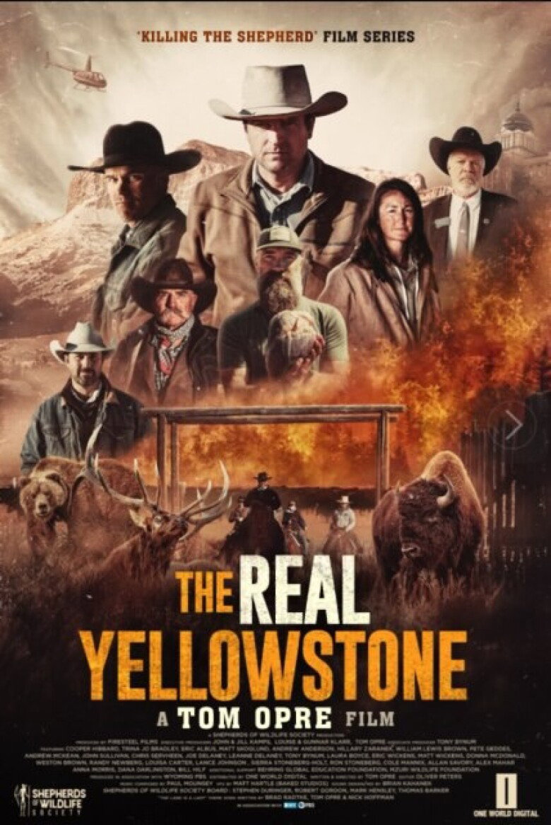 POLSON THEATRES | DILLON, MT - MOVIE SHOWTIMES