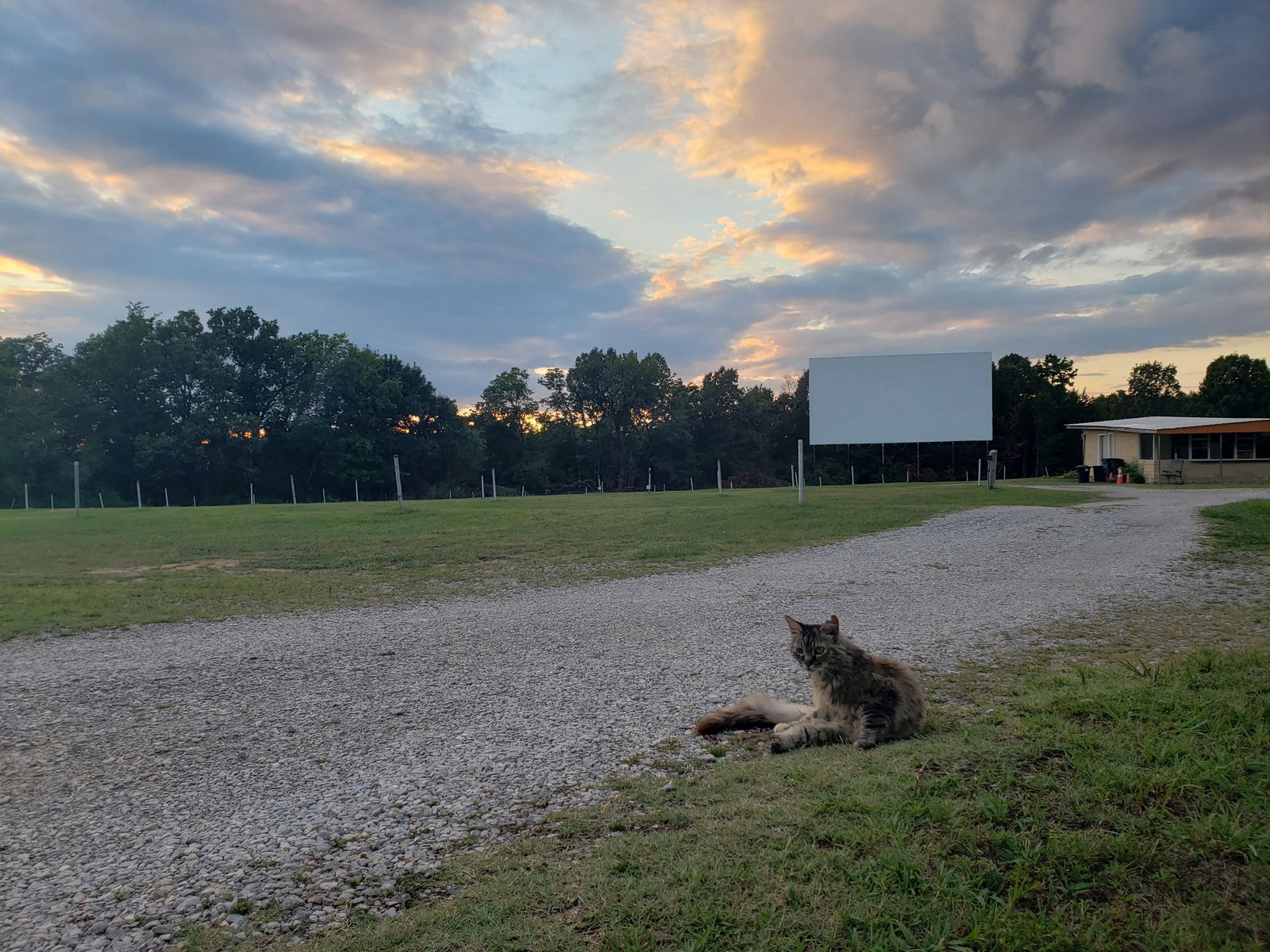 DRIVE-INS NEAR ME | , AL - MOVIES, SHOWTIMES, CONCESSIONS - YOUR LOCAL ...